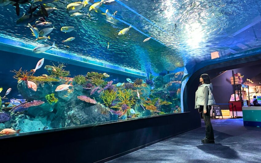 沖繩親子旅行行程規劃書 (2025/6/11-6/16) - 移動端優化版