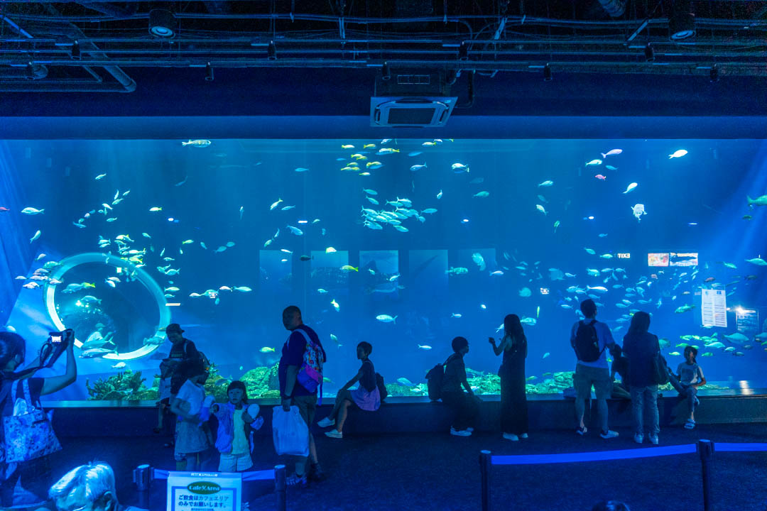 沖繩親子旅行行程規劃書 (2025/6/11-6/16) - v3.0 詳細優化版